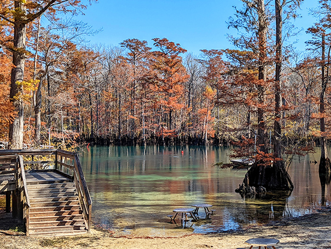 From these steps, visitors take their first glimpse of the spring's incredible clarity before descending into its refreshing embrace.