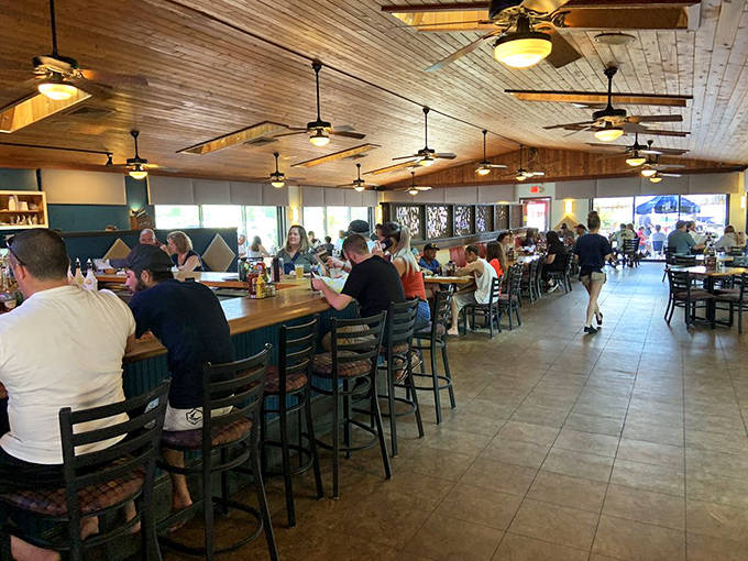 The dining room buzzes with that magical energy that happens when good food meets good company in a place that feels like home.