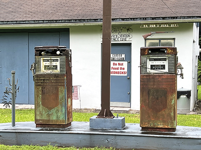 Rusty sentinels from a bygone era, these gas pumps once fueled journeys through the Everglades and now fuel imaginations about their stories.