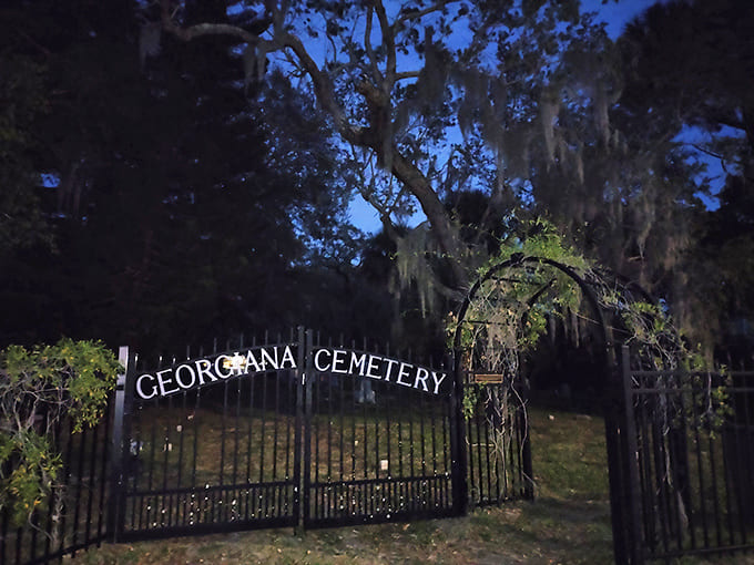 Evening light transforms the cemetery into something almost magical, though the gates close at dark to preserve the peace.
