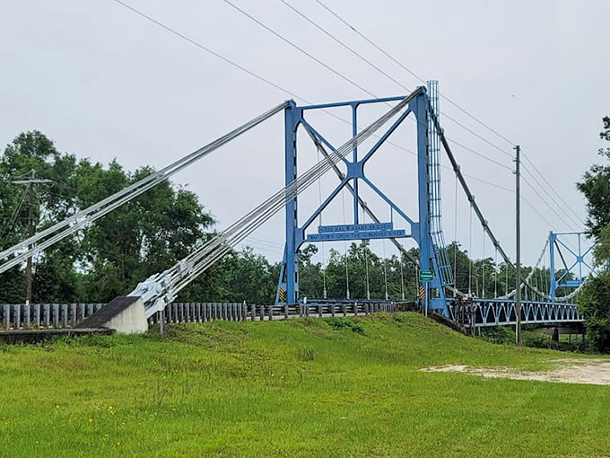 That grass has probably seen more history than most museums, just sitting there watching decades of people cross overhead without making a fuss about it.