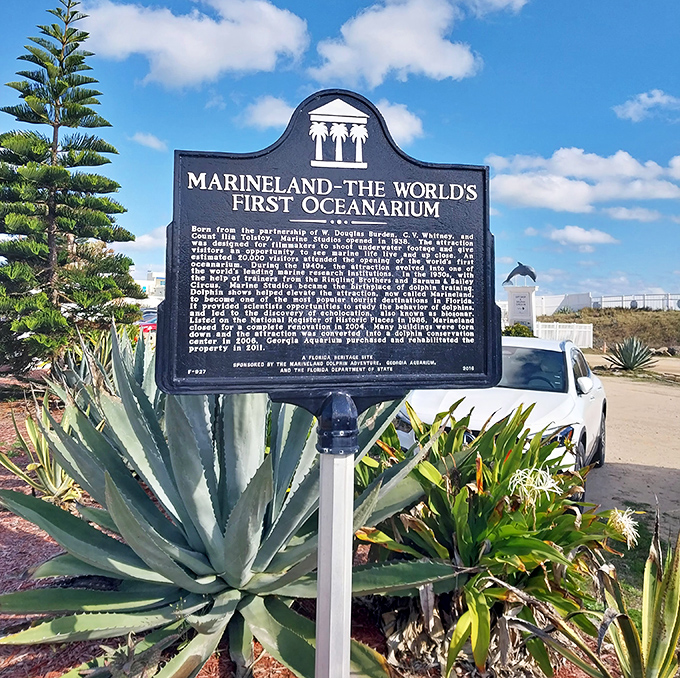 The historical marker tells Marineland's pioneering story &ndash; from Hollywood beginnings to scientific breakthrough &ndash; in more words than most visitors actually read.