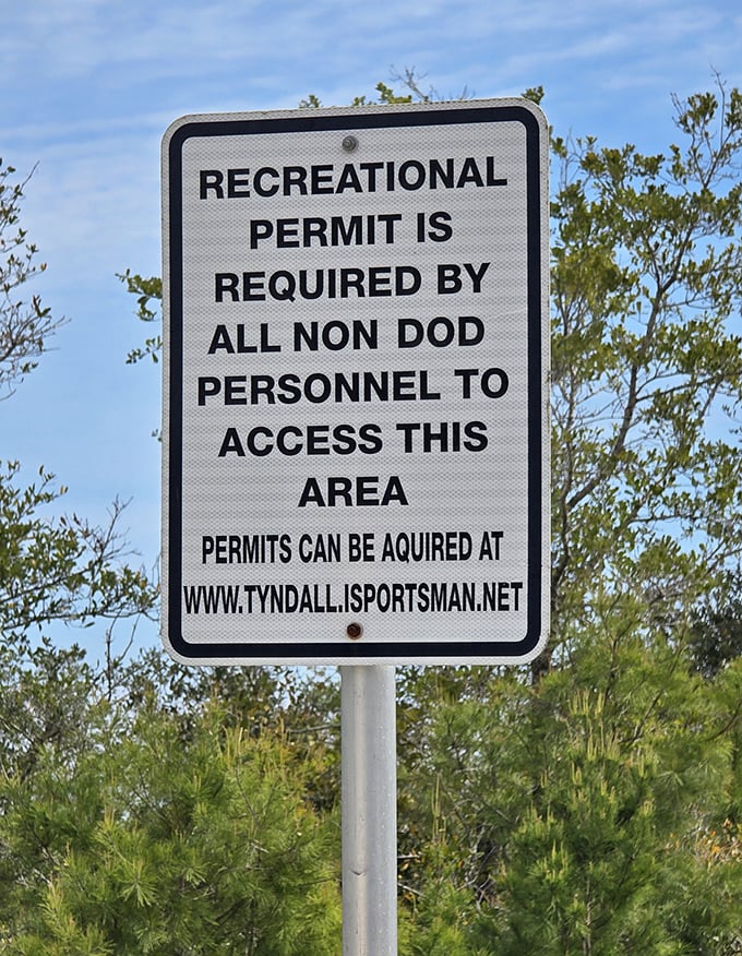 The price of paradise is just a recreational permit, a small bureaucratic hurdle that keeps Crooked Island Beach blissfully uncrowded year-round.
