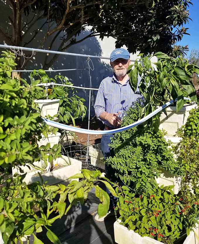 Tending the plants with the care of someone who genuinely loves what they grow, because kumquats don't cultivate themselves despite their independent personalities.