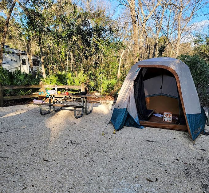 Tent camping under Florida stars reminds you that the best entertainment doesn't require WiFi, just a clear sky and maybe some bug spray.