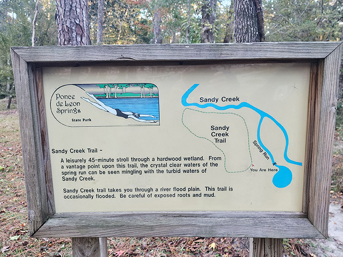 Trail maps guide visitors through the spring's network of waterways, proving that getting lost is optional when signage actually makes sense.