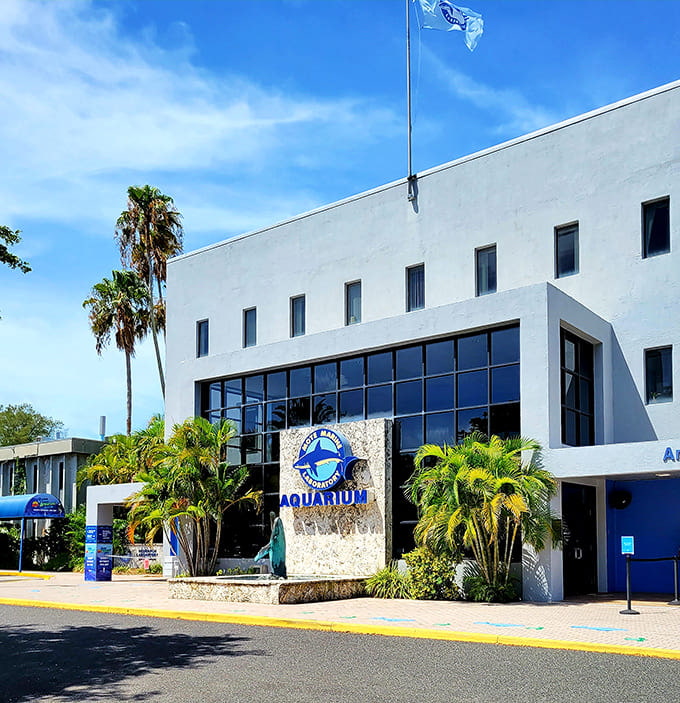 Modern architecture meets tropical landscaping, creating an inviting entrance that hints at the wonders waiting inside those walls.