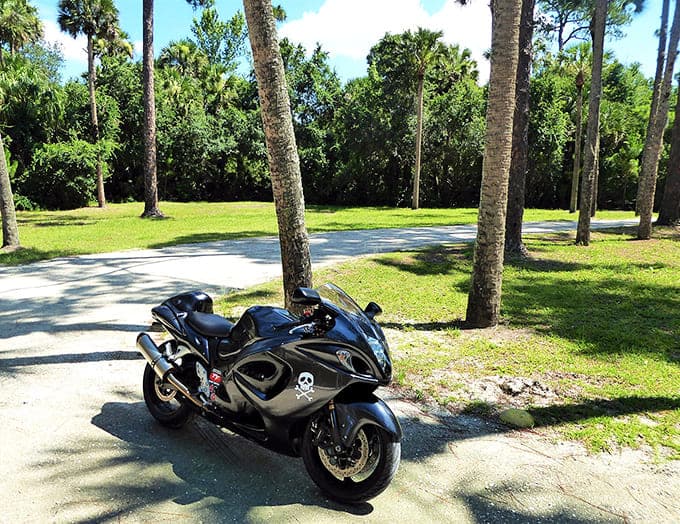 Shaded pathways provide relief from Florida sun, with ancient oaks and palms creating natural canopy over historical exploration routes.
