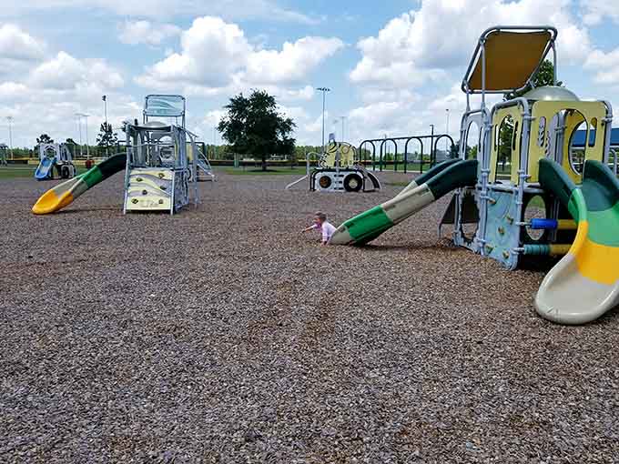 Modern playground equipment that makes you wish they had stuff like this when you were a kid, though let's be honest, you're probably going to try it anyway.