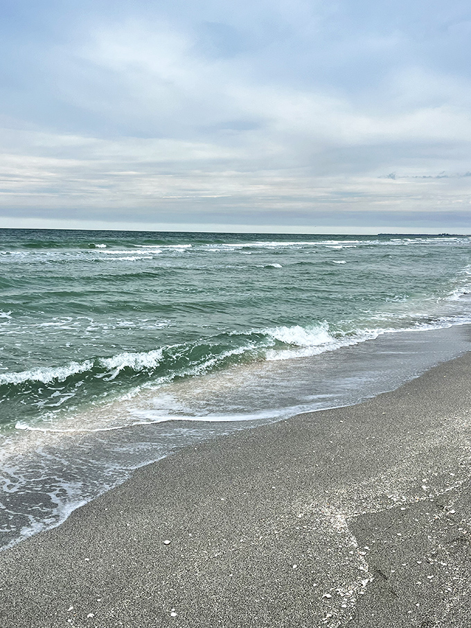 Ocean waves: The Gulf delivers its gifts with each gentle wave, a natural conveyor belt of treasures for patient shell collectors.