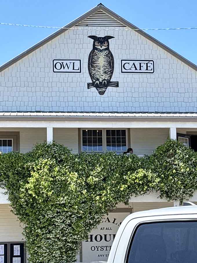 That distinctive owl emblem watches over the entrance, letting you know you've found the place where good food happens.