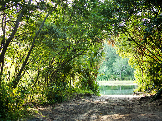 The path less traveled reveals Florida's wild heart, where adventure awaits around every bend.