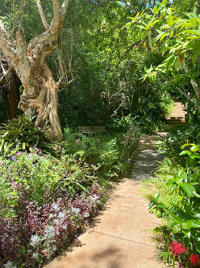 Nature creates its own gallery along this winding path, where dappled sunlight paints ever-changing patterns on the ground.