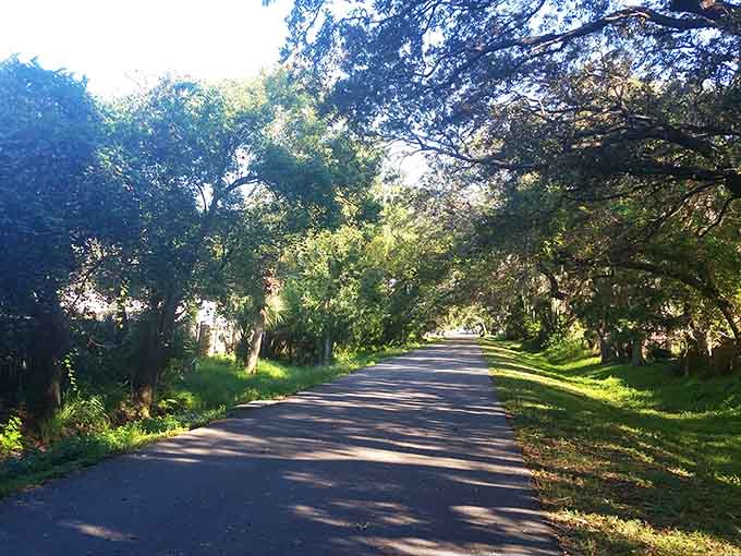 Tree-lined stretches create natural tunnels where dappled sunlight plays across the pavement like nature's own light show, free admission included.