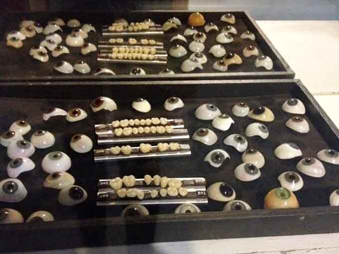 These glass eyes stare back with an intensity that suggests they've seen things, probably mostly tourists taking flash photography when they shouldn't.