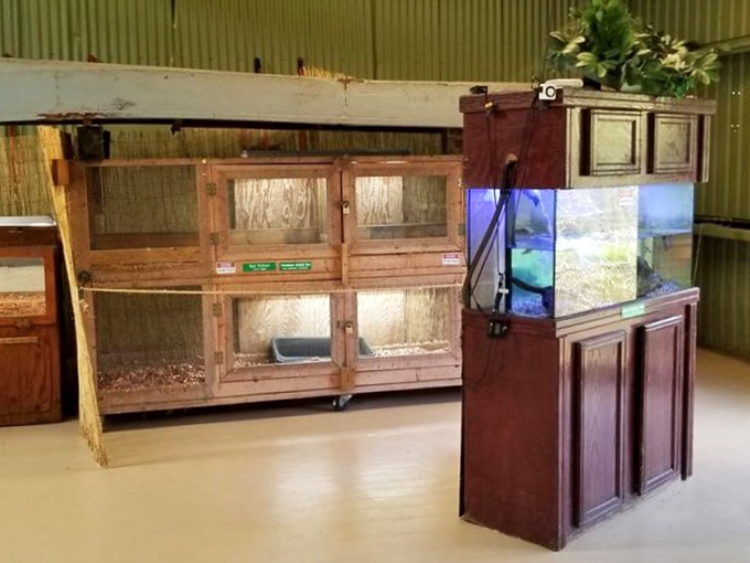 The reptile exhibits offer close encounters with scaled Everglades residents, educational counterpoints to the more speculative Skunk Ape displays.