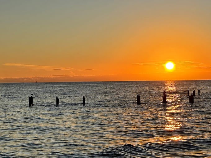 Key West sunsets are so reliably spectacular that they've become the island's nightly reminder that nature still knows how to steal the show.