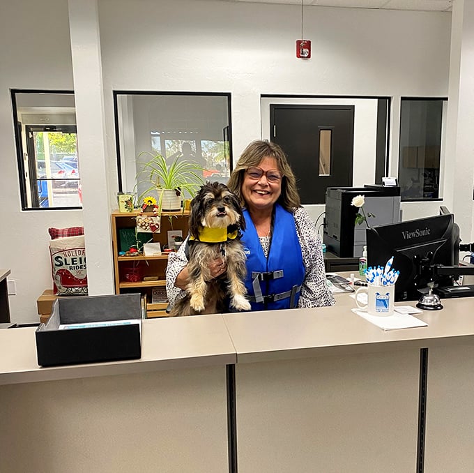The welcoming committee includes a furry assistant who's clearly mastered the art of work-life balance better than most humans.
