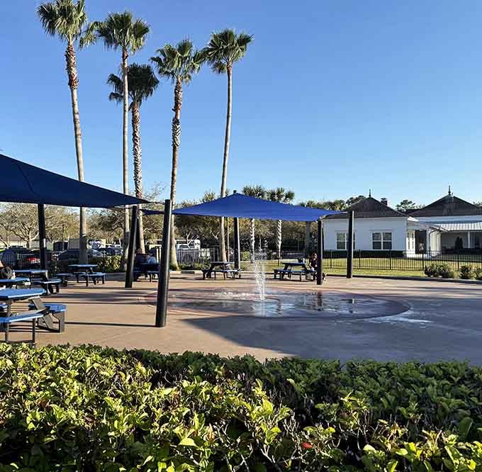 The splash pad area combines function and beauty, with decorative pavers and shade structures that make getting soaked feel downright sophisticated.