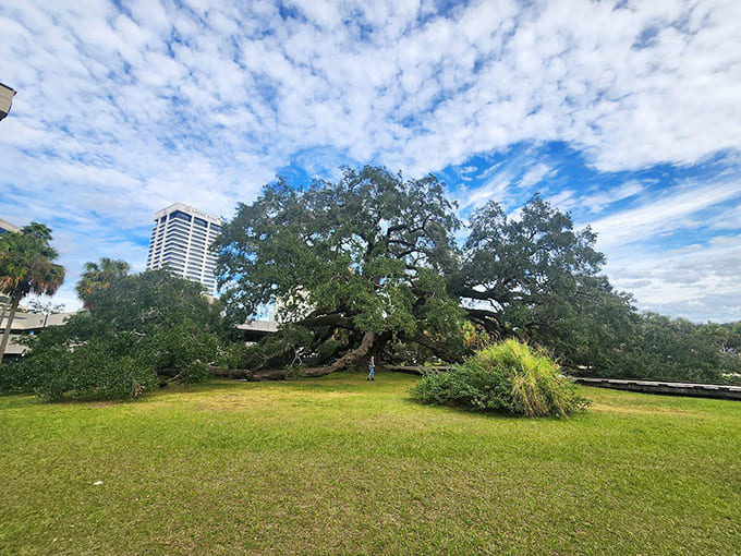 All this green space in the middle of downtown is like finding an oasis in a concrete desert.