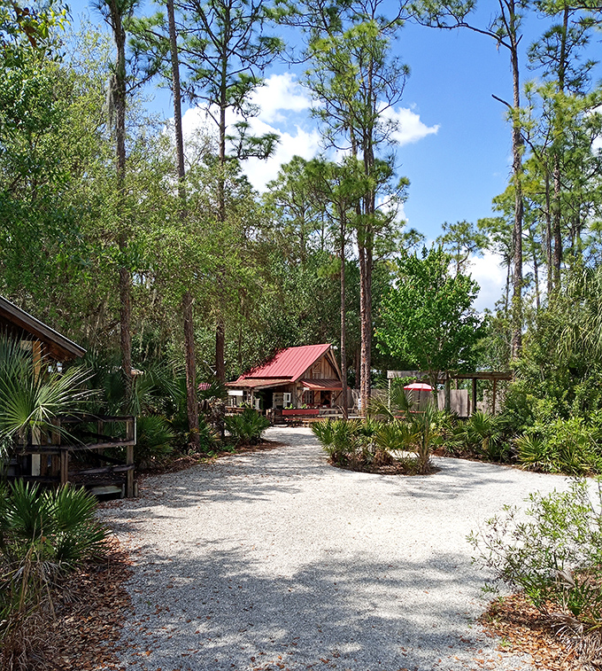 The visitor area welcomes nature enthusiasts with rustic charm &ndash; no neon signs or ticket booths, just authentic Florida hospitality.