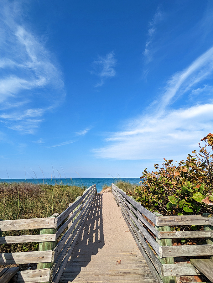 Wooden walkways protect fragile dunes while leading cyclists to their reward &ndash; beaches where crowds are measured in seagulls rather than selfie sticks.