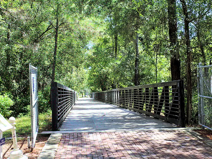 This peaceful walkway invites visitors to literally stroll through time, with each step taking you deeper into Florida's rich past.