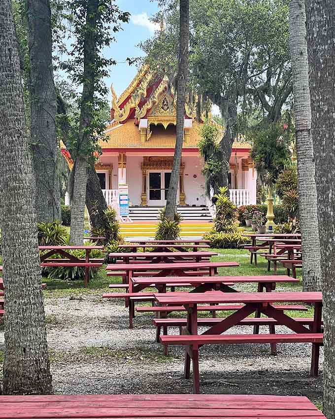 Wooden picnic tables under ancient oaks create the perfect setting for enjoying authentic Thai food with new friends.