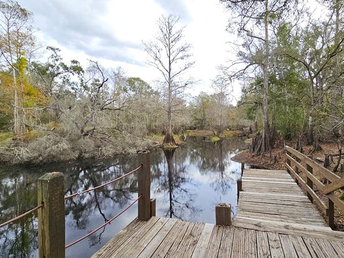 Observation docks where the fish are down there judging your casting technique, probably.
