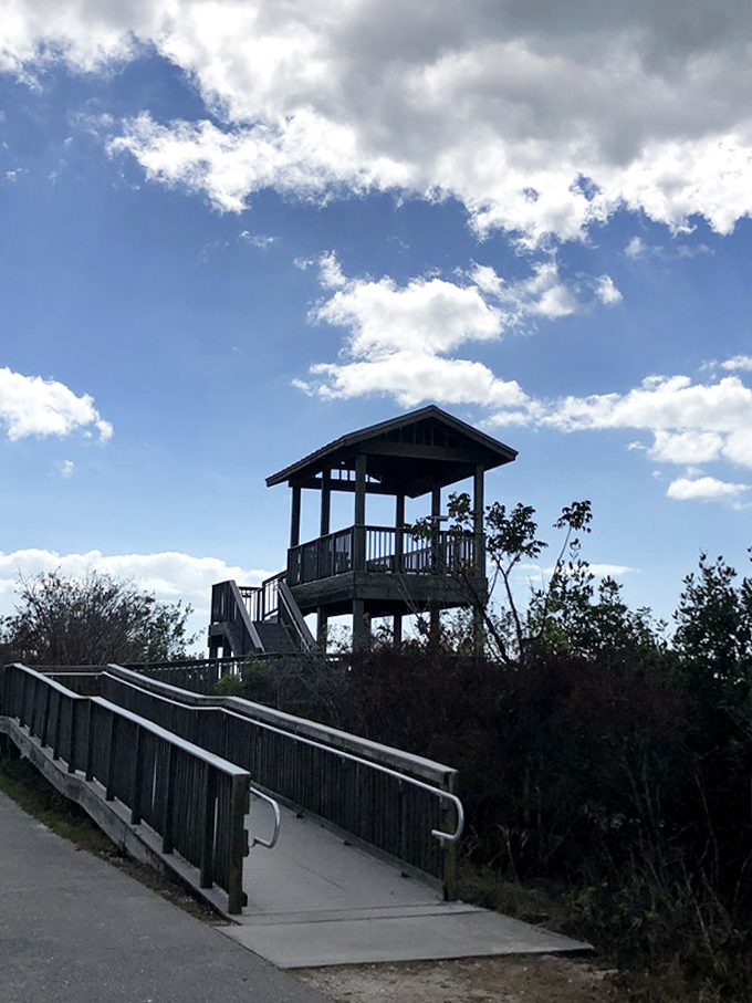 Climb up to the observation tower and suddenly you're seeing the refuge the way the birds do, which explains why they never want to leave.