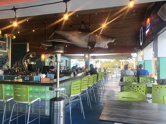 Where shark decor meets cocktail artistry, creating the perfect spot to tell fish stories that grow taller with each round.