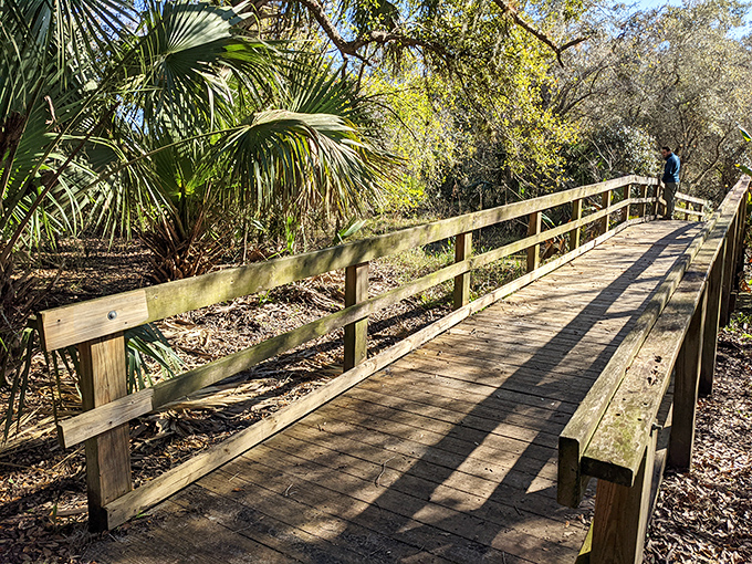 This unassuming boardwalk leads through native Florida ecosystems by day and serves as a stargazing platform by night.