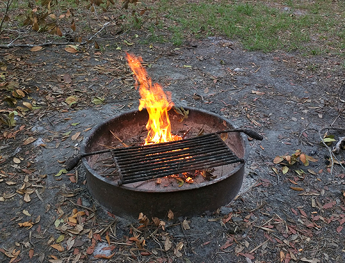 Campfire flames dance against the gathering darkness, turning simple hot dogs into gourmet wilderness cuisine since time immemorial.