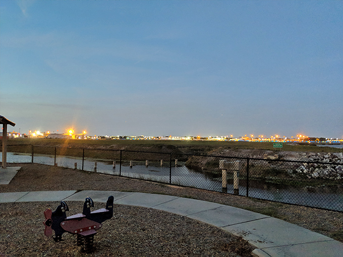 As evening falls, the park transforms into a twinkling wonderland, where city lights compete with stars for reflection rights on the lake.