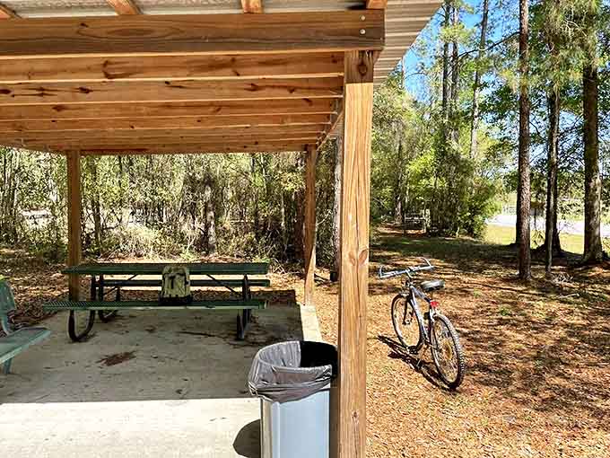 This rustic picnic shelter offers respite from the Florida sun, perfect for refueling halfway through your adventure.