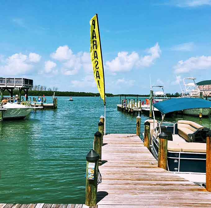 This weathered dock has witnessed countless sunsets, each one different yet equally spectacular in Englewood's perfect evening light.