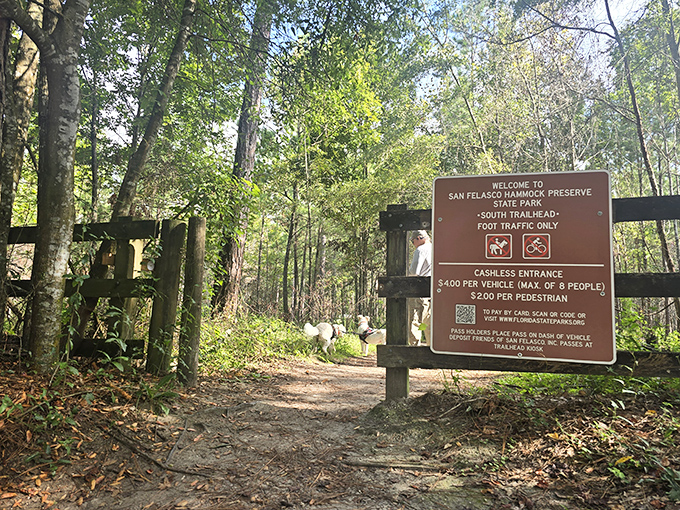 Welcome to adventure! The south trailhead entrance marks the beginning of your journey into wild Florida.