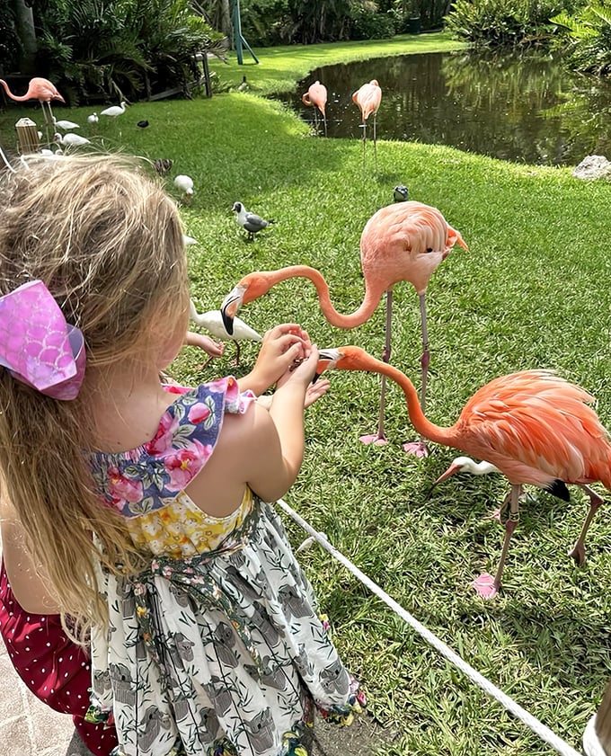 Childhood magic captured: tiny hands offering breakfast to creatures that seem painted with the world's most enthusiastic pink highlighter.