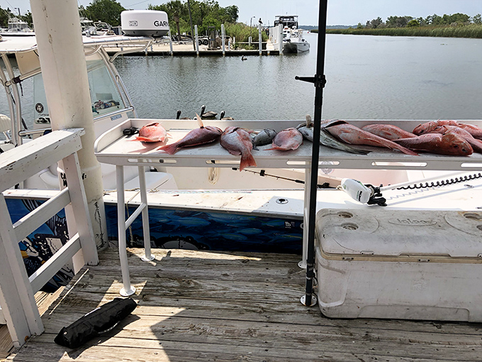 From boat to plate in hours &ndash; local fishing charters bring home the ultimate souvenir: dinner with a story.