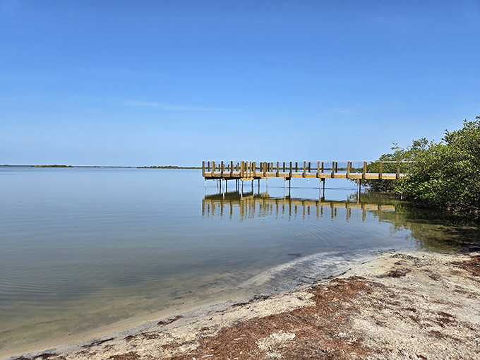 A wooden pier stretches into calm waters, offering contemplative fishing without the soundtrack of nearby beach volleyball tournaments.