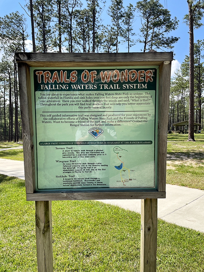 The "Trails of Wonder" sign doesn't exaggerate &ndash; these paths lead through sinkholes, pine forests, and hardwood hammocks unique to this corner of Florida.