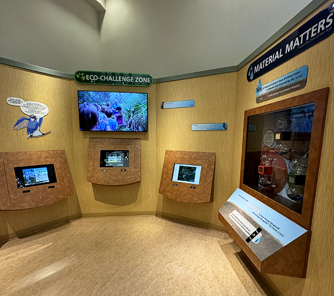 Interactive displays transform environmental education into engaging play, where learning happens through exploration rather than lecture.