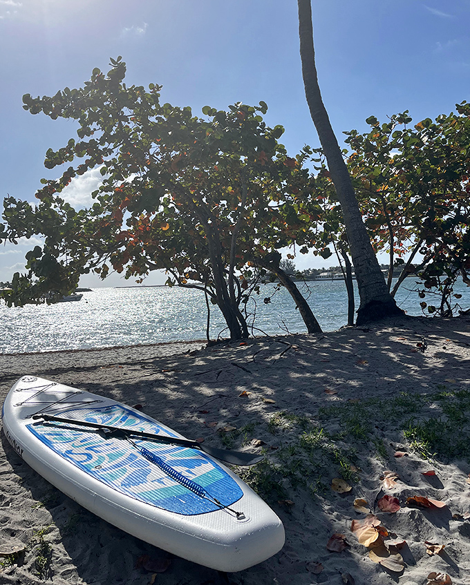 A paddleboard waits patiently at the water's edge, ready to transform an ordinary day into an adventure across nature's liquid playground.