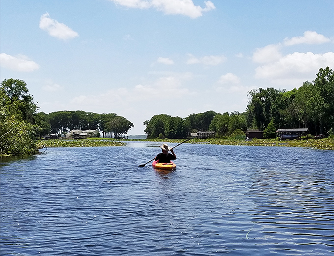 Kayaking through Lake Harris &ndash; where every paddle stroke feels like turning the page in nature's most beautiful picture book.