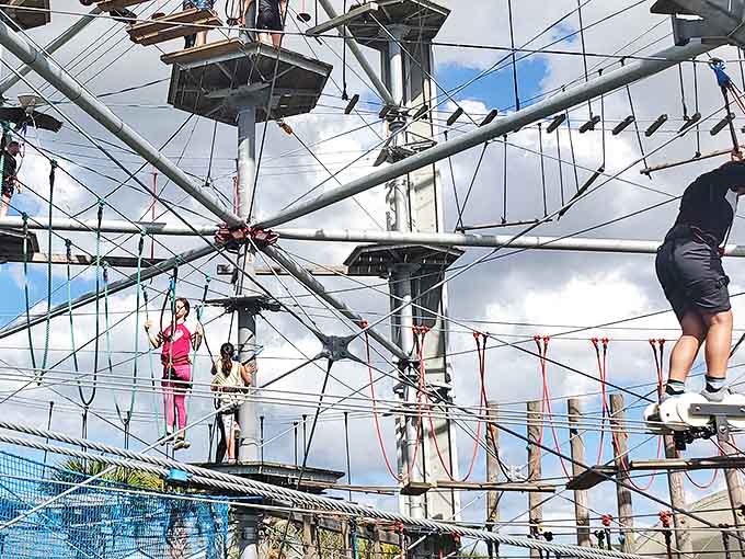 Navigating the ropes course requires concentration, balance, and the ability to ignore your suddenly questionable decision-making skills.