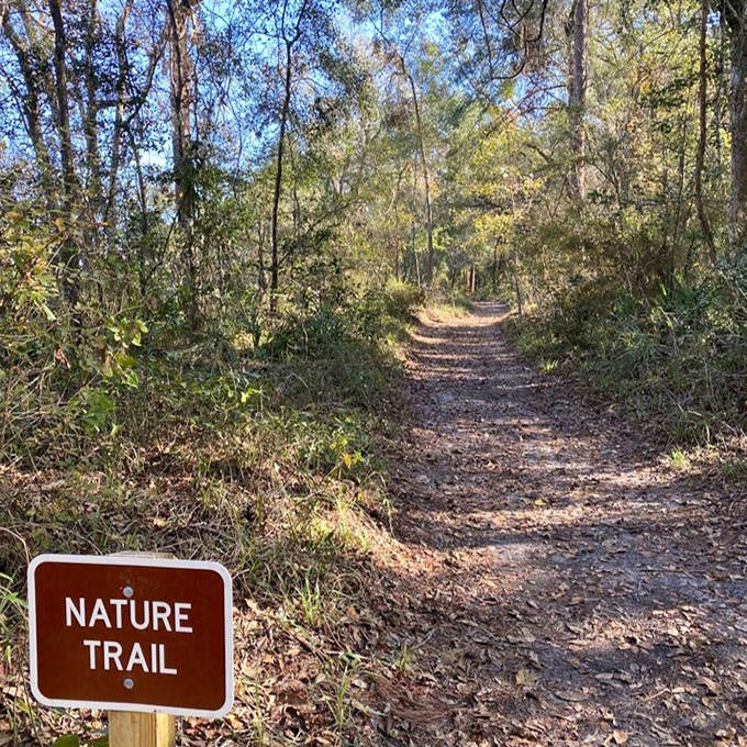 Where every turn offers a new lesson in Florida ecology, without the boring textbook.