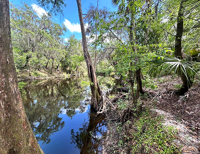 Reflections of serenity &ndash; still waters mirror the timeless dance between sky and earth in this hidden sanctuary.