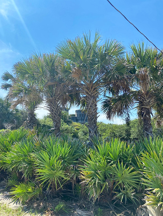 Palm trees bow before stone towers, nature's Florida greeters acknowledging this architectural anomaly with tropical flair.