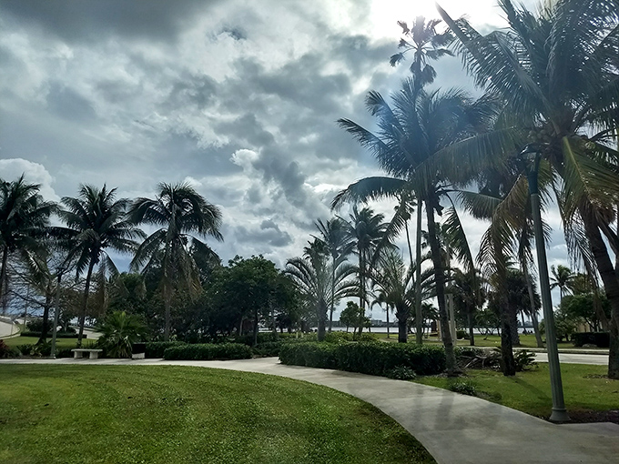 Palm trees sway against dramatic Florida skies, creating the quintessential tropical atmosphere Bryant Park is known for.