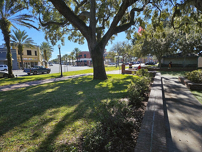 Main Street views from the park benches offer the perfect balance of nature and small-town charm, with historic buildings framing the leafy landscape.